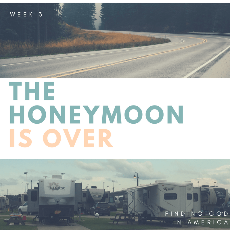 Week 3: The Honeymoon is Over